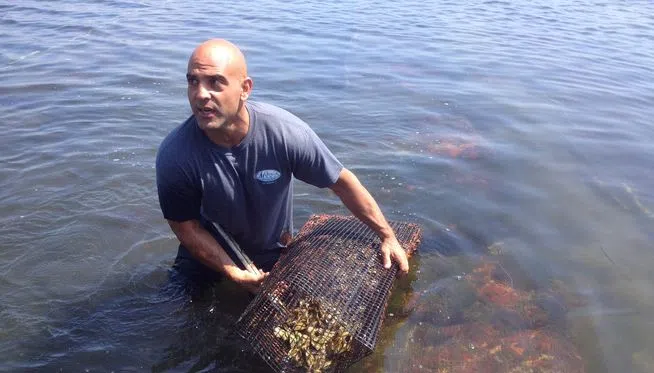 Restaurant denied permit to expand shellfish farm | WPRO
