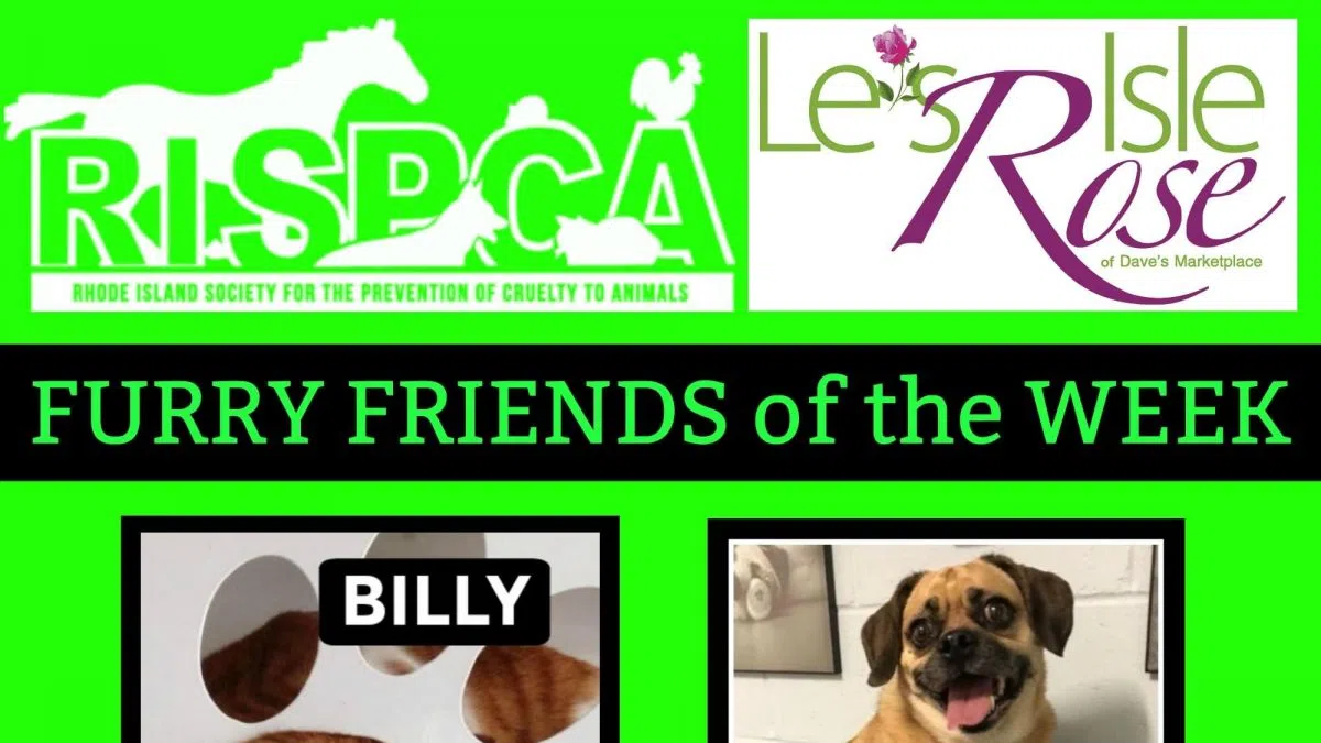 Our latest FURRY FRIENDS of the WEEK >> Billy & Bella! (9/17/18) | WWLI-FM