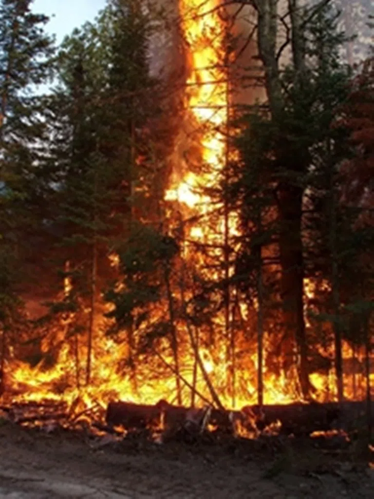 Wildfire | The Keweenaw Report