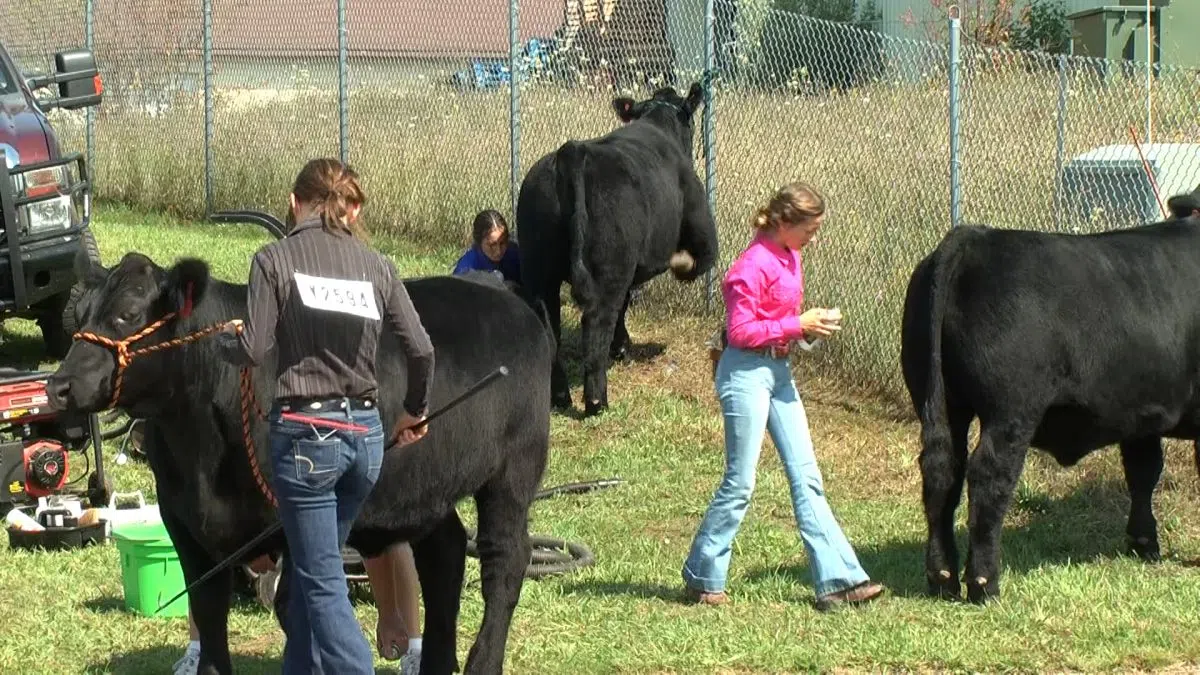 A lot of work goes into getting ready for the Houghton County Fair ...