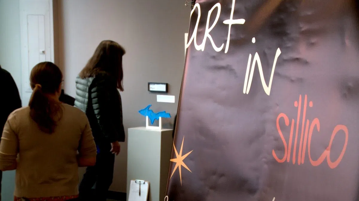 Art in Silico found at the intersection of STEM and Humanities | The ...