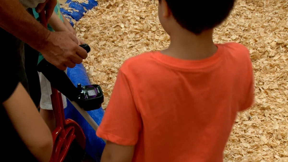 Copper Country kids find fossils fascinating at the Copper Country Gem ...