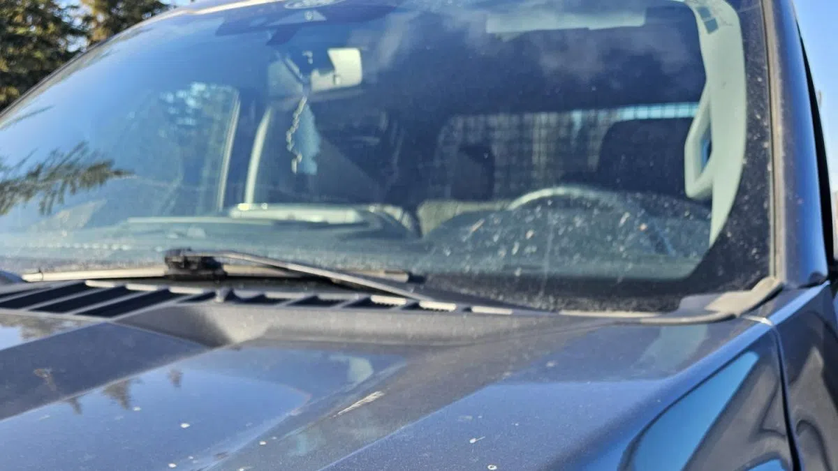 RCMP issue gun safety reminders following bullet hitting vehicle | 100. ...
