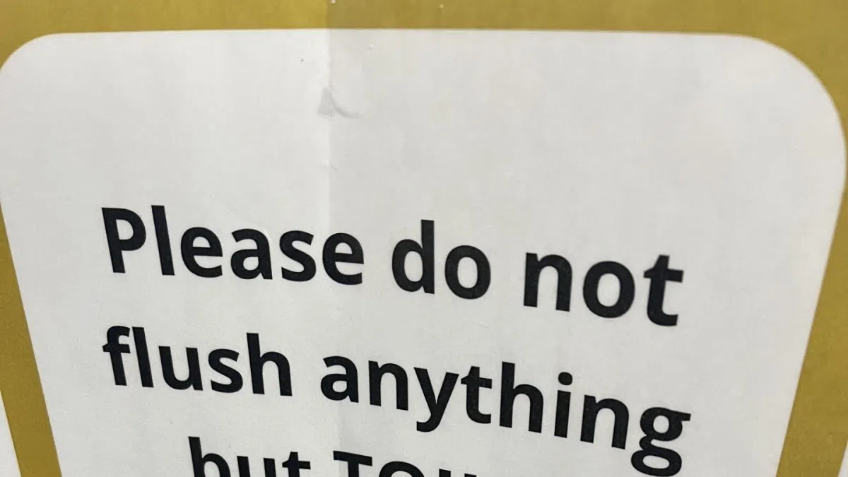 Where does the poop go? | play 107 | Harvard Media
