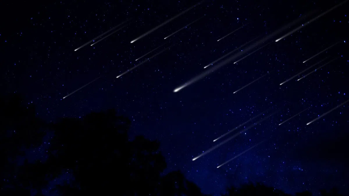 Leonids streak across northern Alberta with near perfect viewing | play ...