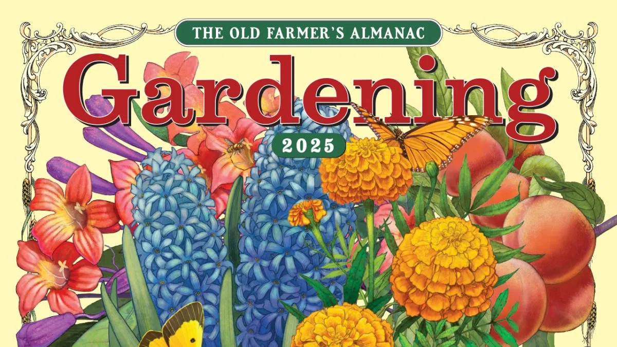 Light Reading, Almanac Style (Audio) | 620 CKRM - The Voice of ...