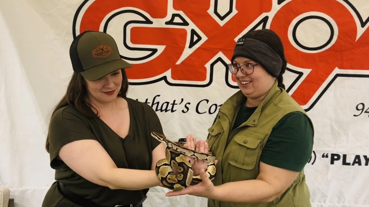 Slithering into Adventure: A Snake Tale from the Yorkton Parkland ...