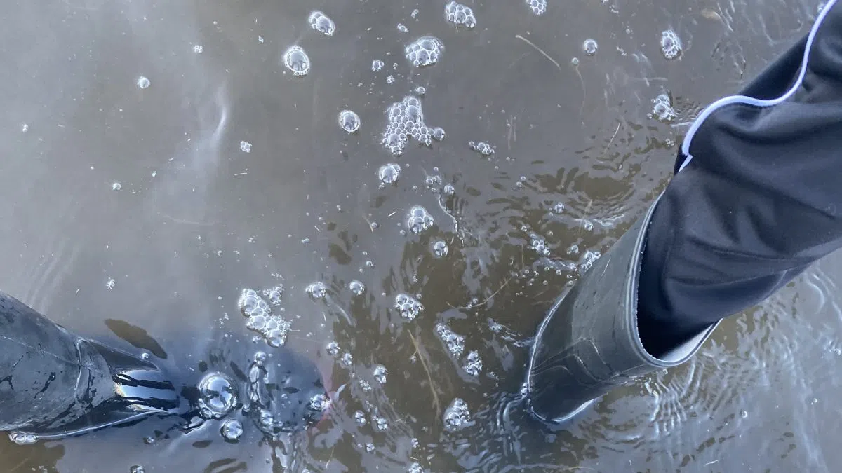 Puddle Jumping! | GX94 Radio - Now That's Country! | Harvard Media