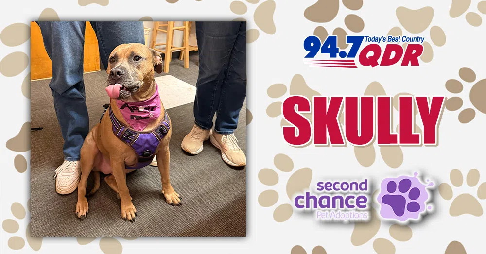 Fursday: Meet Skully from Second Chance Adoptions! | WQDR-FM