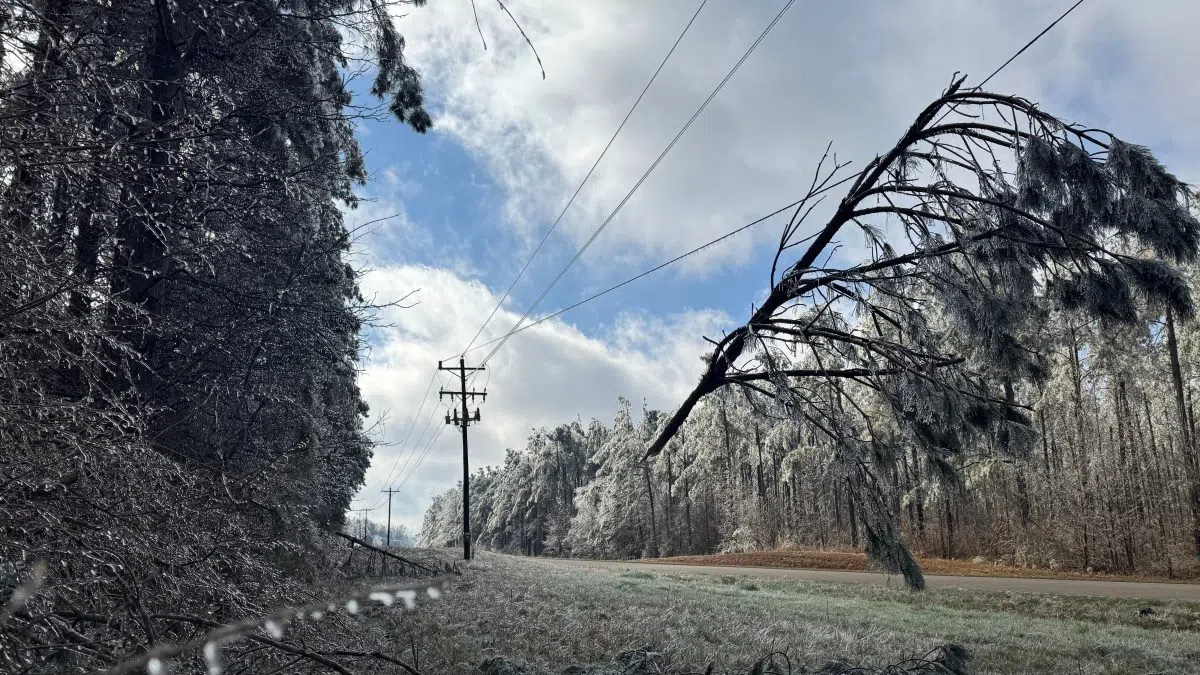 Bitter cold grips the eastern US as winter storm deaths rise and power ...