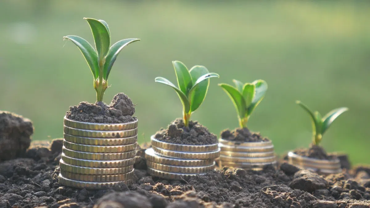 Tips for Financial Resilience in 2026 | Southern Farm Network