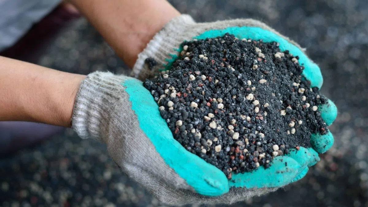 Fertilizer Prices Lower, Still a Big Part of 2024 Crop Budgets ...