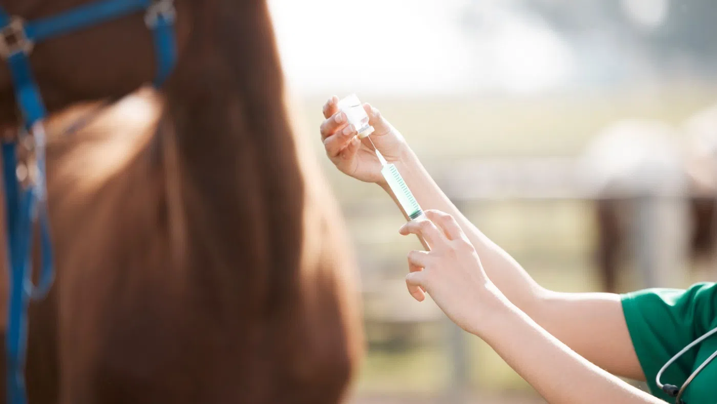 NC Commissioner Troxler: Time to Vaccinate Against EEE and West Nile ...