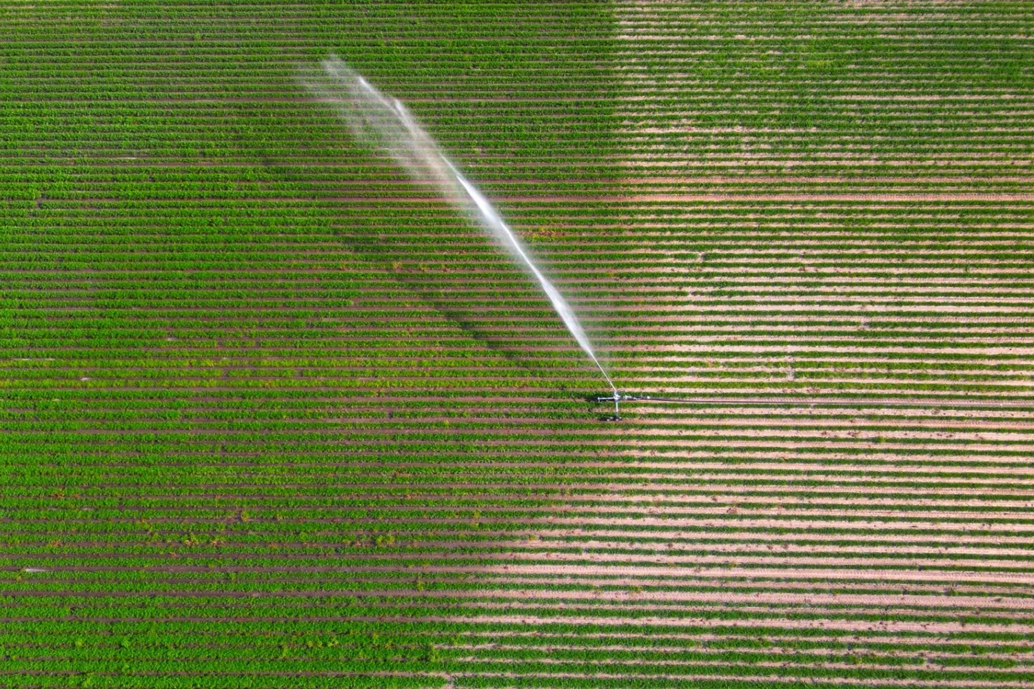 NC Commissioner Troxler: Water Use Survey | Southern Farm Network