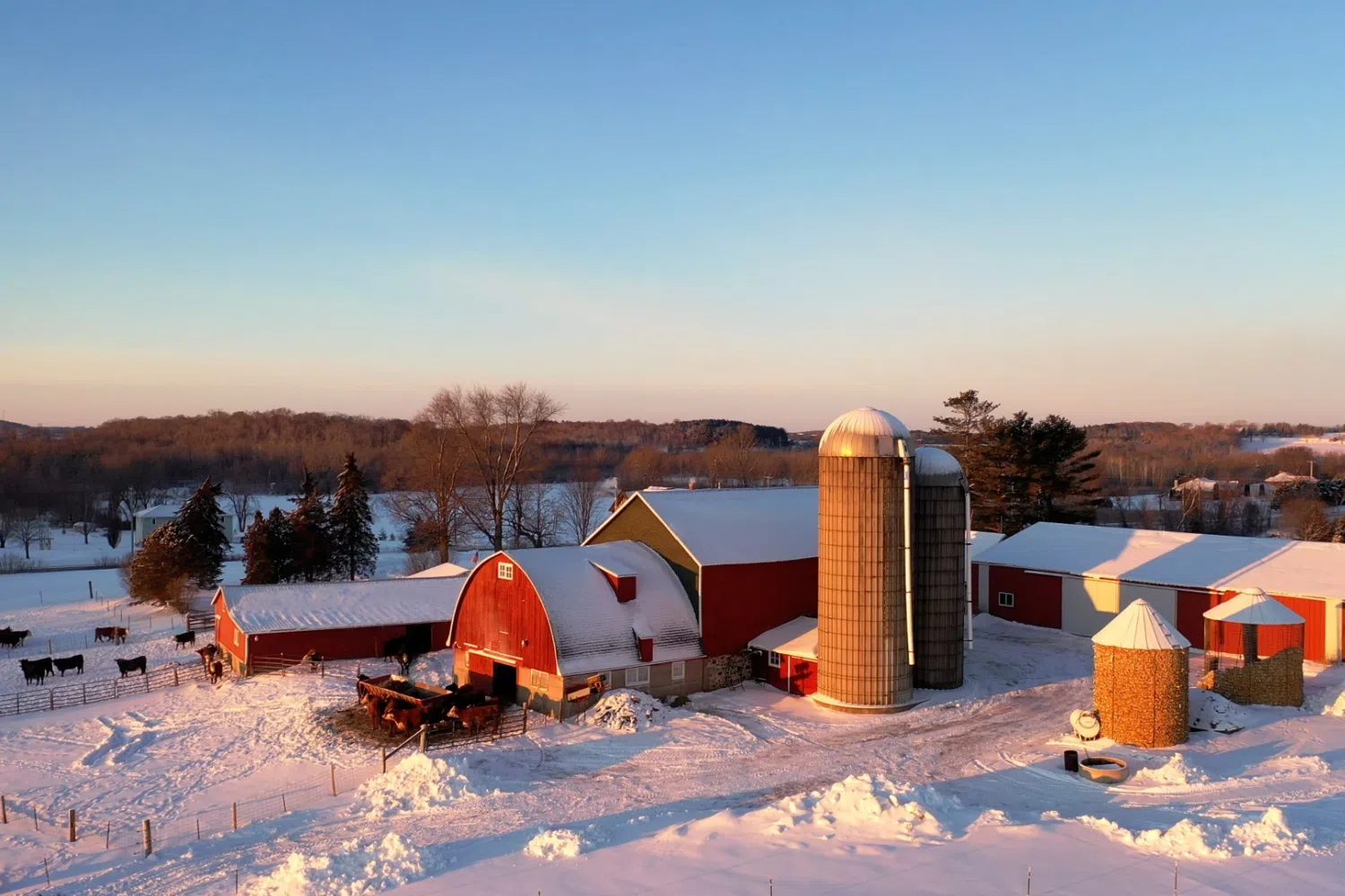 Resources for Ag Recovery from Winter Storm Fern | Southern Farm Network