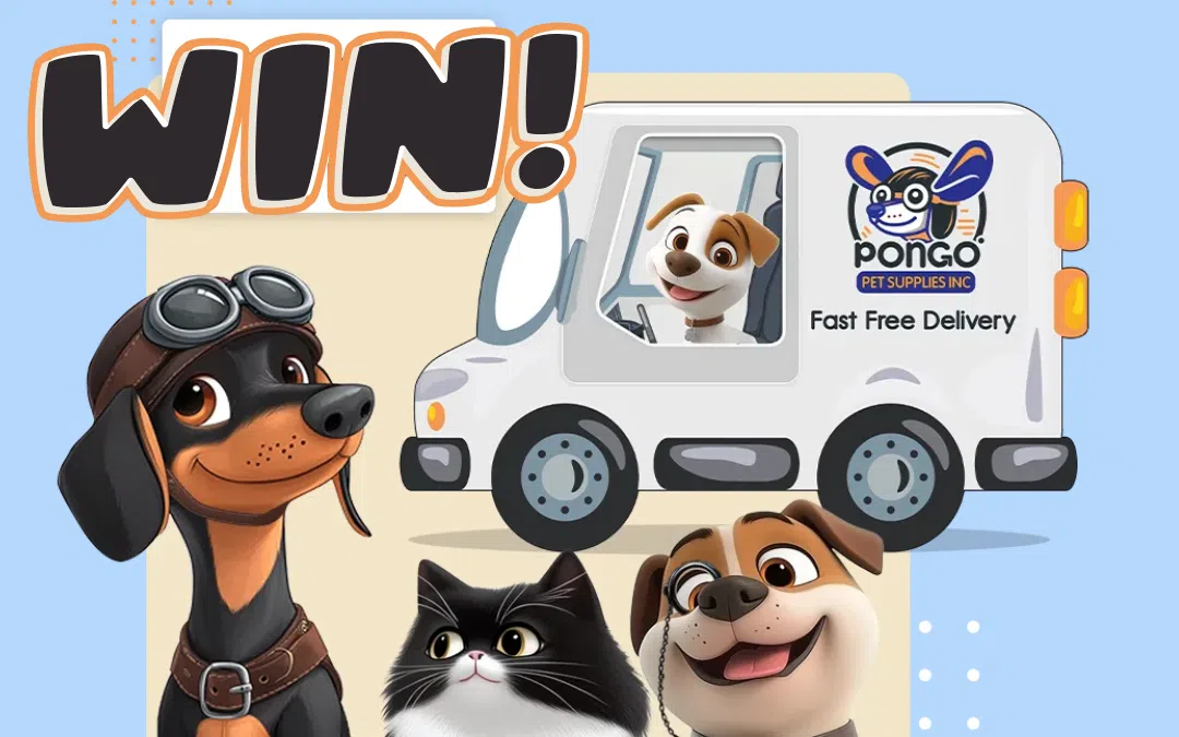 Win $150 with Pongo Pet Supplies today with Stephanie Nicole!! | Shine FM