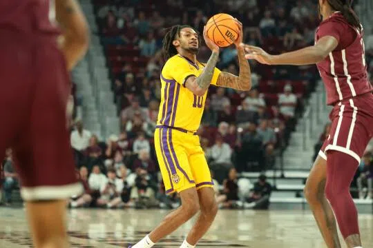 LSU forward Collins enters portal | Louisiana Sports