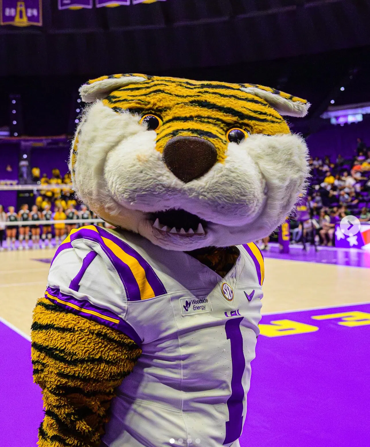 LSU, Woodside Energy agree to landmark jersey patch sponsorship | Louisiana Sports