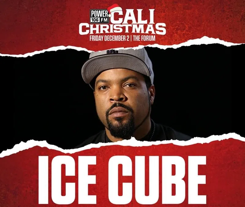 Ice Cube Celebrates The Platinum Anniversary of “The Predator” Album ...
