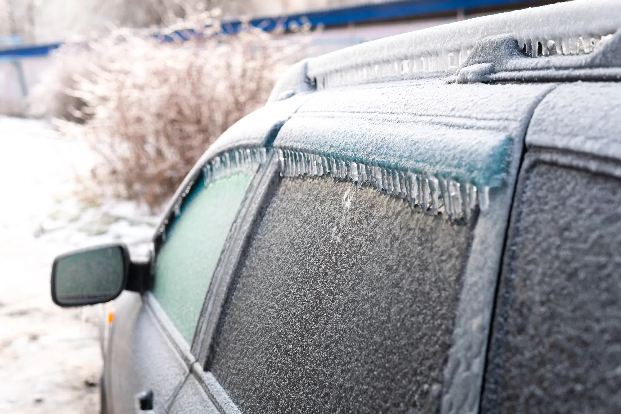 School buses cancelled again on Wednesday in Quinte | InQuinte.ca