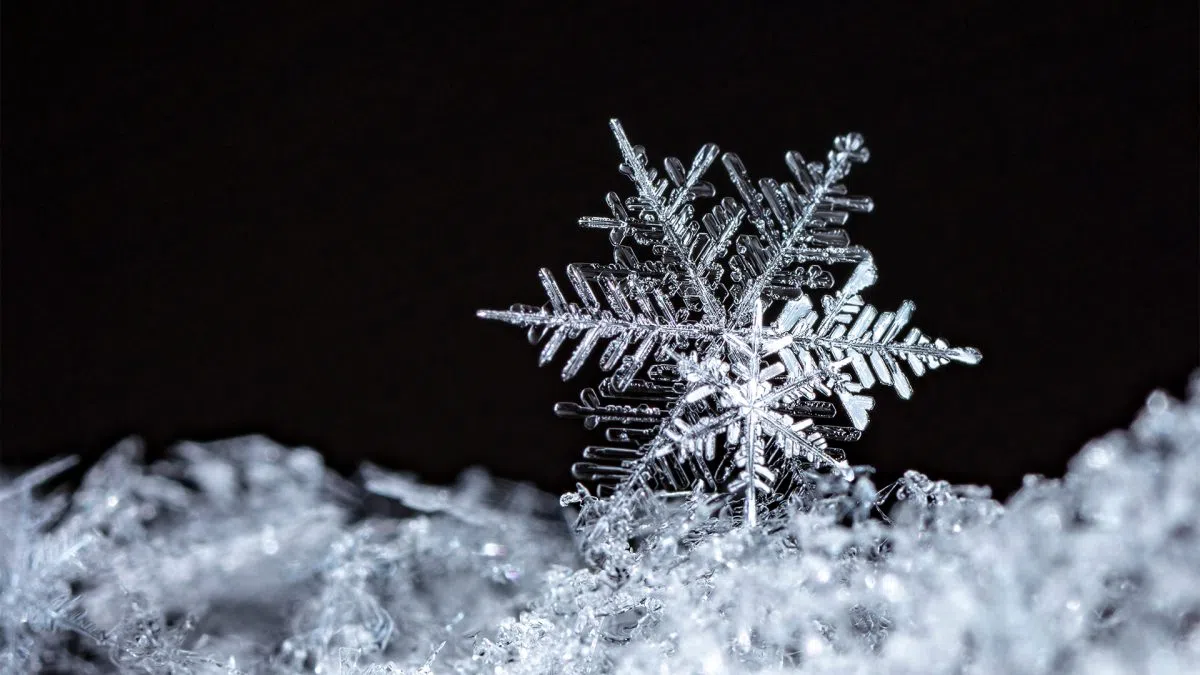 Mild start to week turns to cold snap in Quinte by Thursday | InQuinte.ca