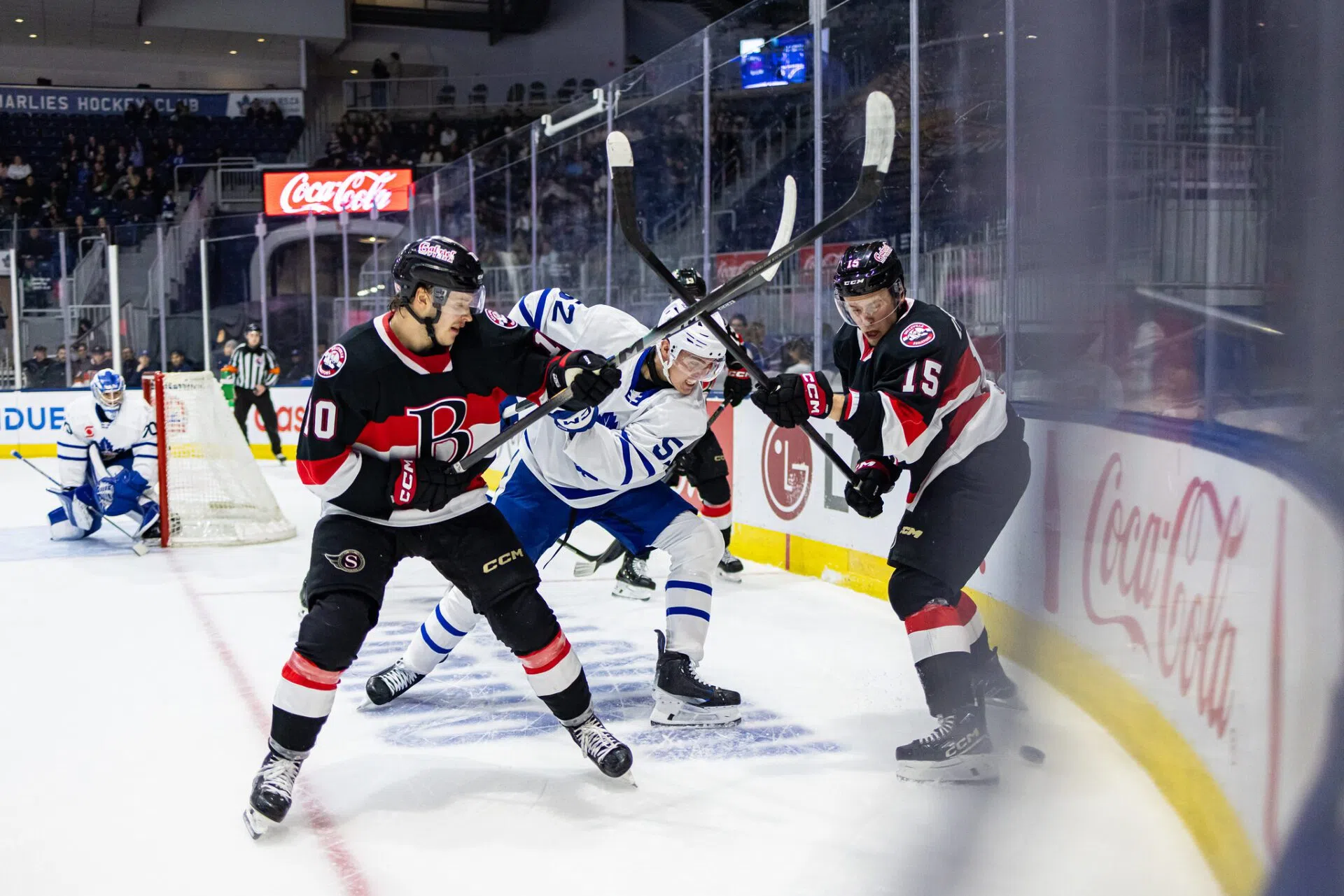 B-Sens stamped out by Marlies | InQuinte.ca