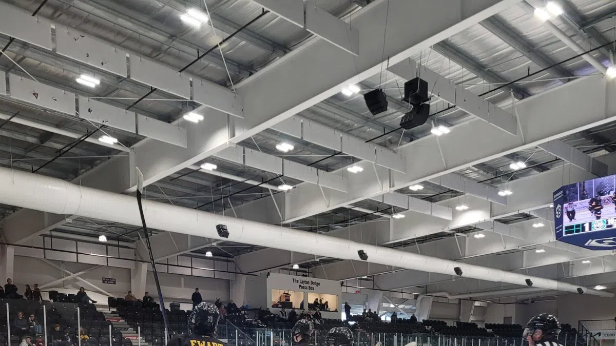 Hawks deliver nine-goal drubbing to Cougars | InQuinte.ca