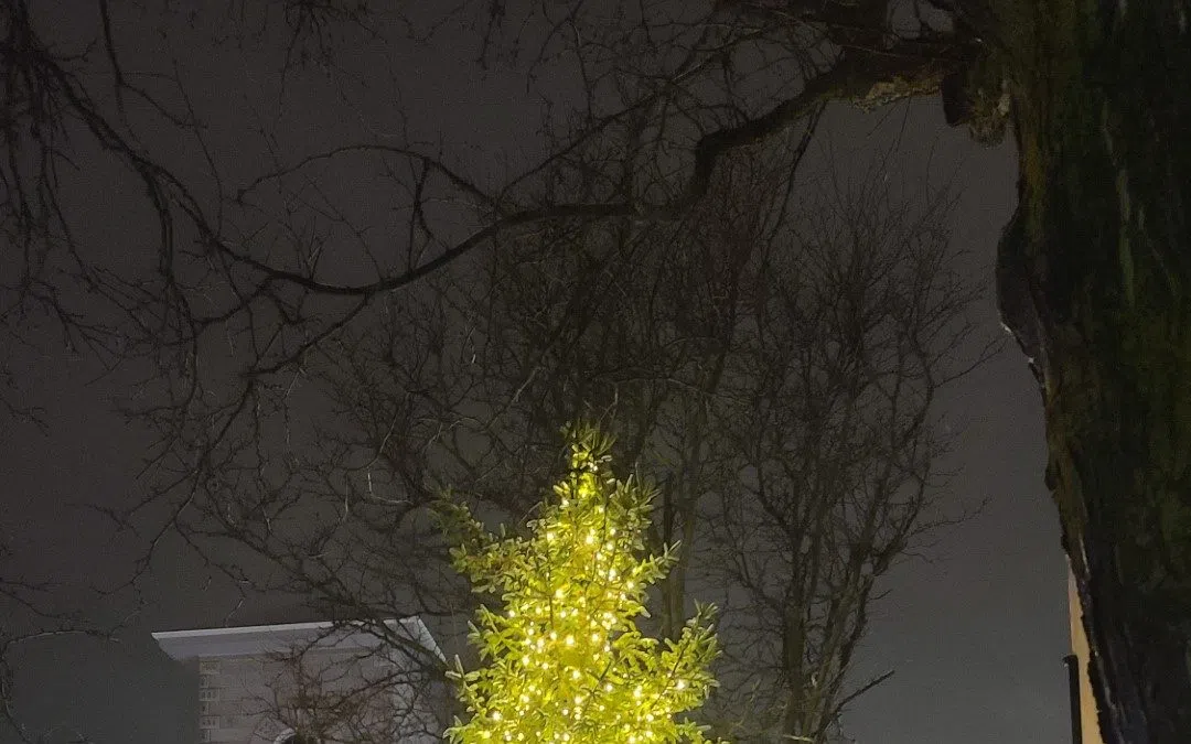 There’s now a 16-foot tall Christmas tree lit up in Downtown Milton ...