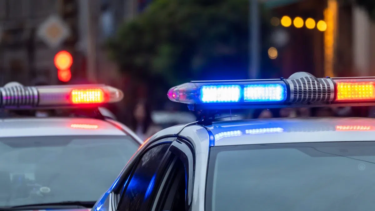 Halton Police launch new unit to address intimate partner violence ...