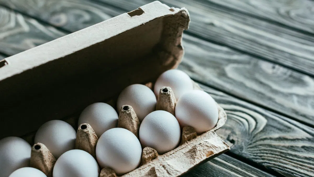NOT SO EGG-CELLENT: Your eggs might make you sick | FM101 Milton Now