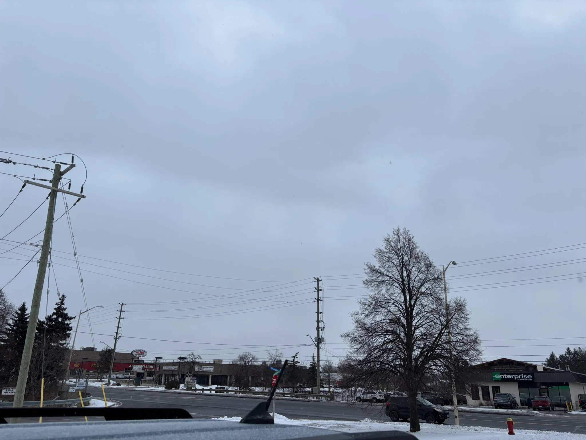 Milton forecast for Wednesday, January 15th | FM101 Milton Now