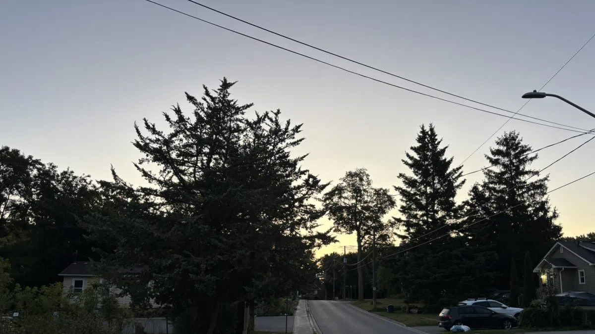 Milton forecast for Monday, August 25th | FM101 Milton Now