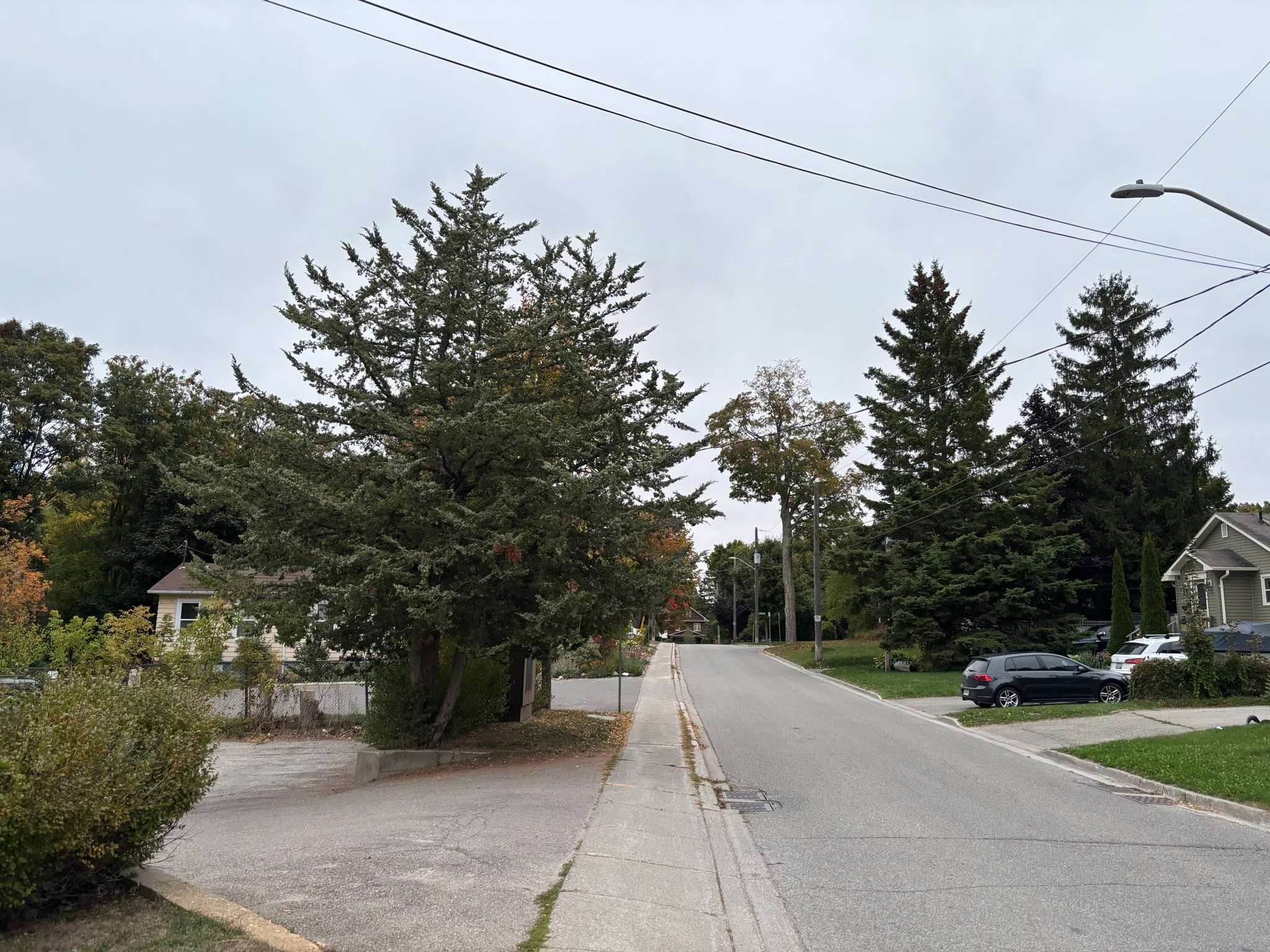 Milton forecast for Friday, September 19th | FM101 Orangeville Today