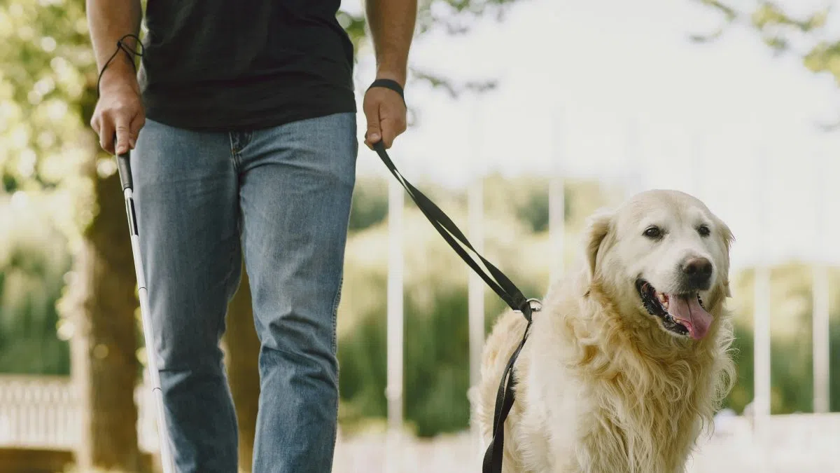 COMMUNITY SPOTLIGHT: Havelock Lions Club hosts Don Martin Memorial ...