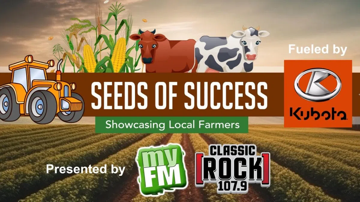 Seeds Of Success | Classic Rock 107.9
