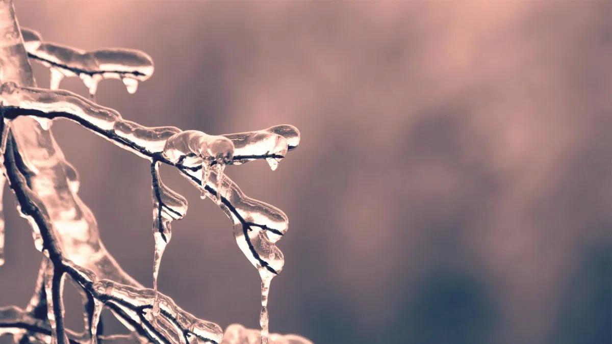 Prepare for extreme cold: HKPR Health Unit urges residents to take ...