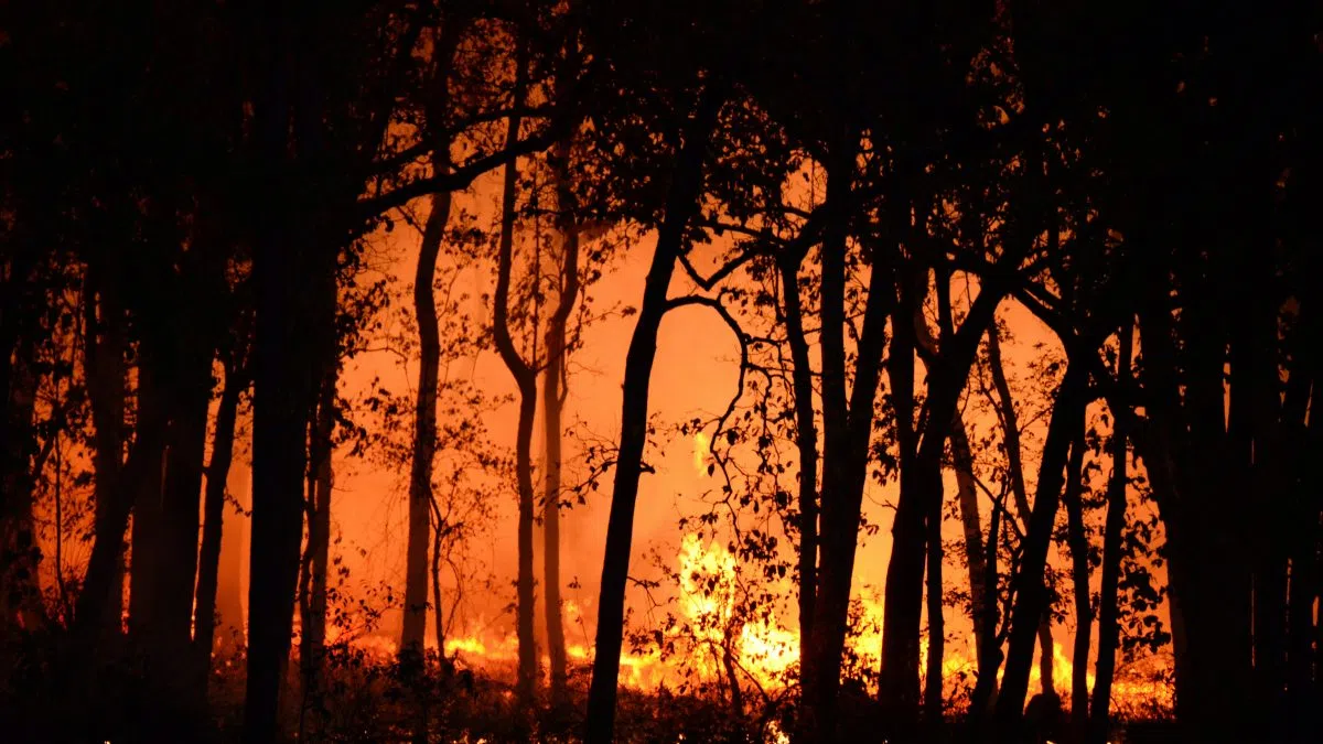Canadian military helping evacuate Sandy Lake First Nation as wildfire ...