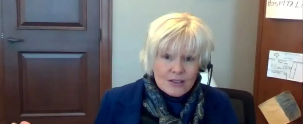 MP Cheryl Gallant accused of promoting conspiracy theories and spreading false information | 104 ...