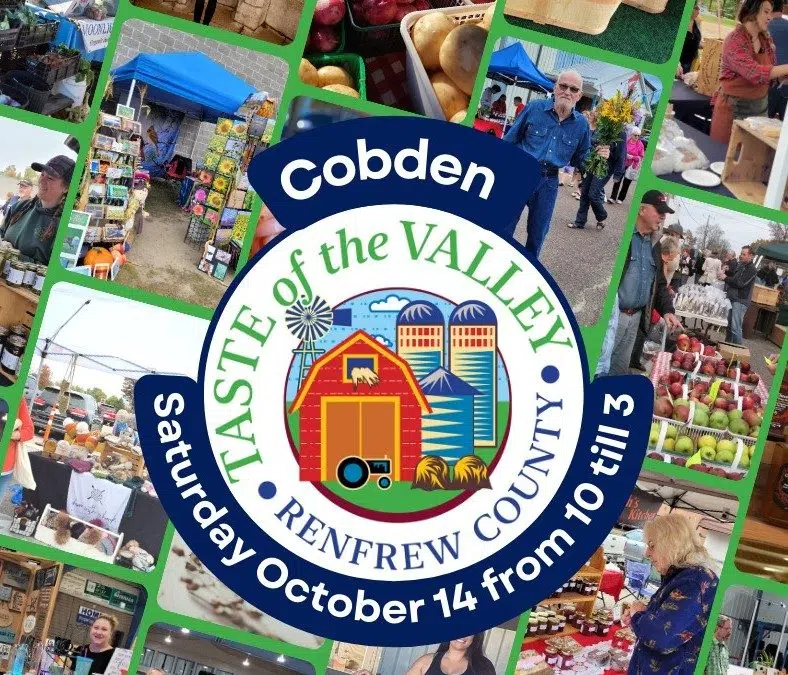COMMUNITY SPOTLIGHT: Cobden Fairgrounds expecting over 125 vendors this ...