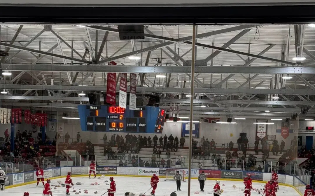 Lumber Kings donate hundreds of teddy bears to CHEO | 104.9 Pembroke Today