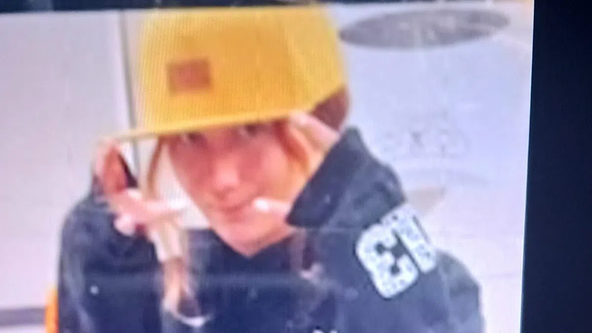 Have you seen Jasmine Heise? Shawville teen missing, police appeal for ...