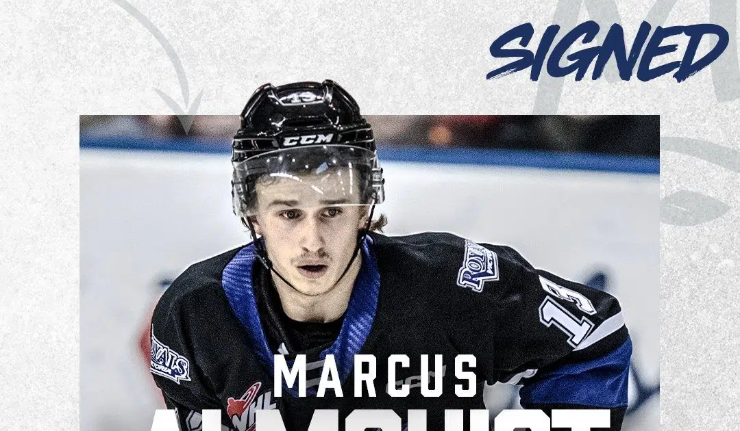 Almquist Signs with Rødovre Mighty Bulls | The Zone @ 91-3
