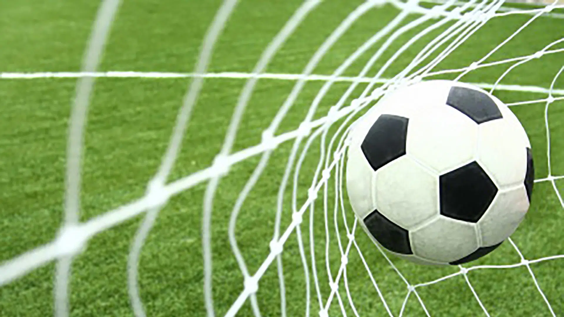 Calgary’s Wild FC soccer team secures twins. | RTBN