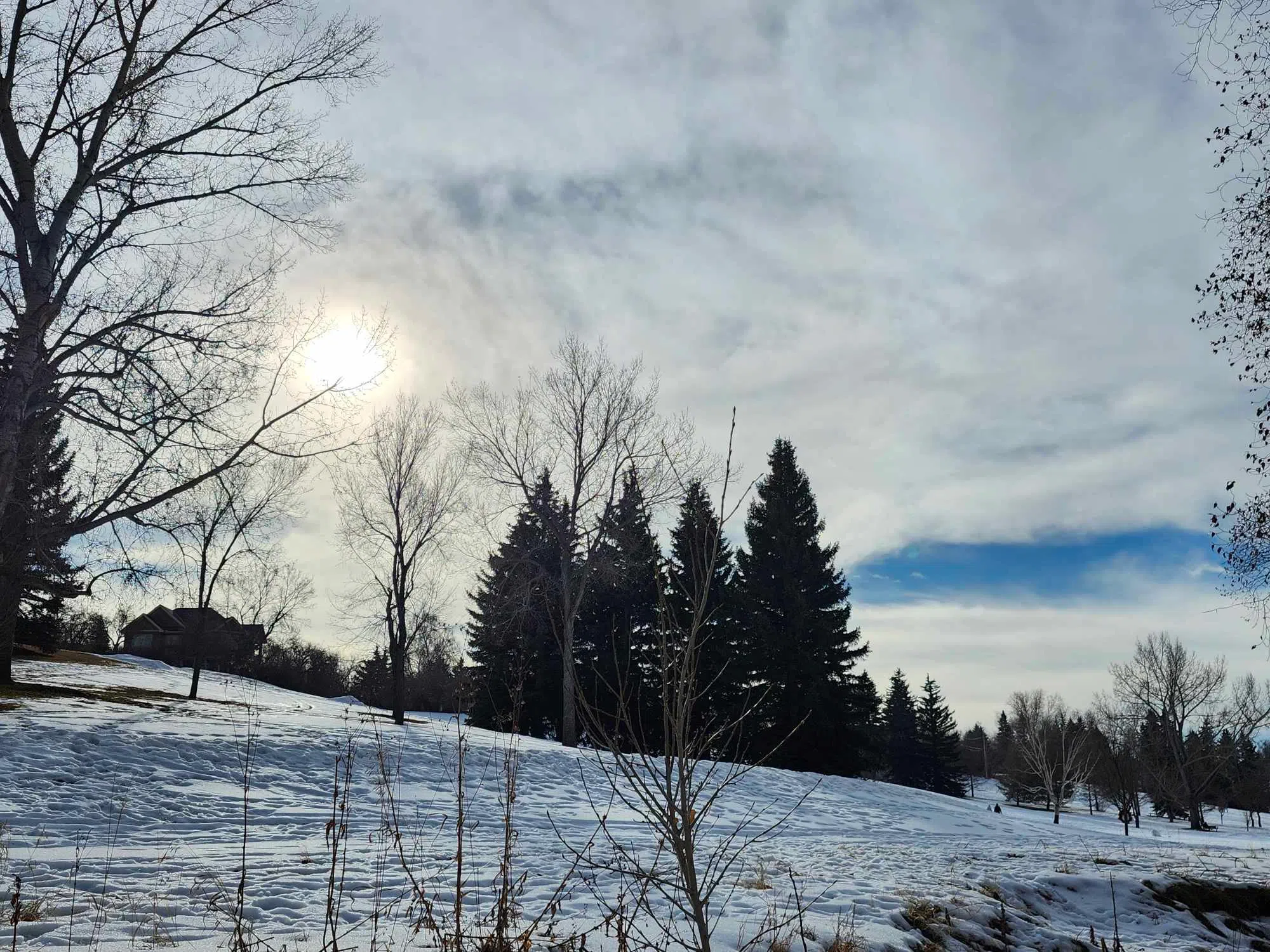 Calgary experiences warmer weather during winter season | RTBN