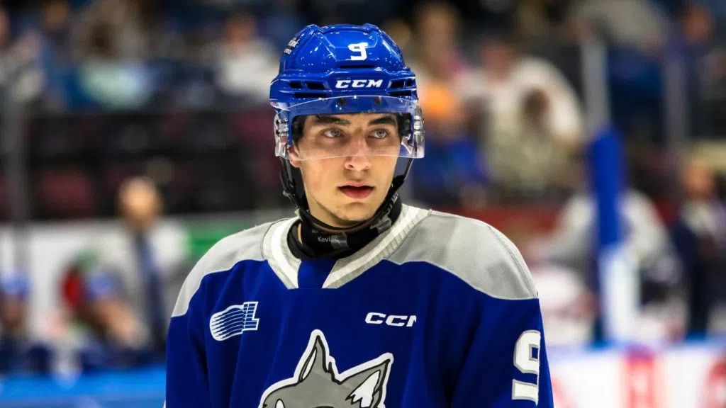 Dogs Deal Twice For Centre & Picks | GiantFM