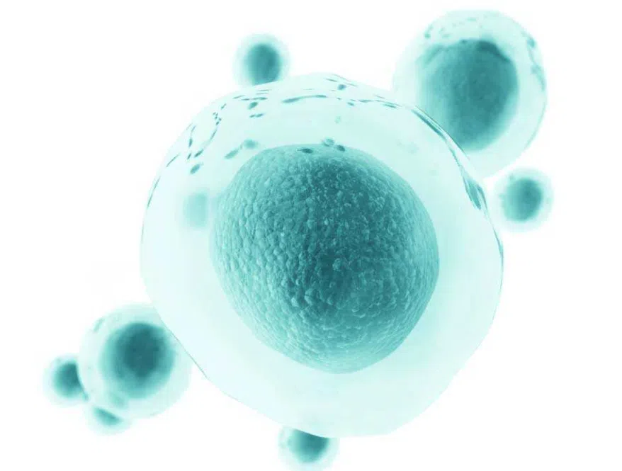 COMMUNITY SPOTLIGHT: Canadian Blood Services turning to Brock ...