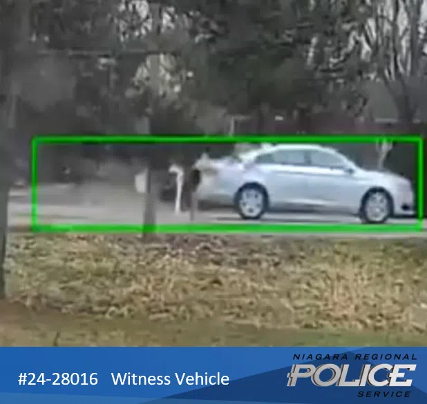 Police seek potential witness vehicle in fatal crash | GiantFM