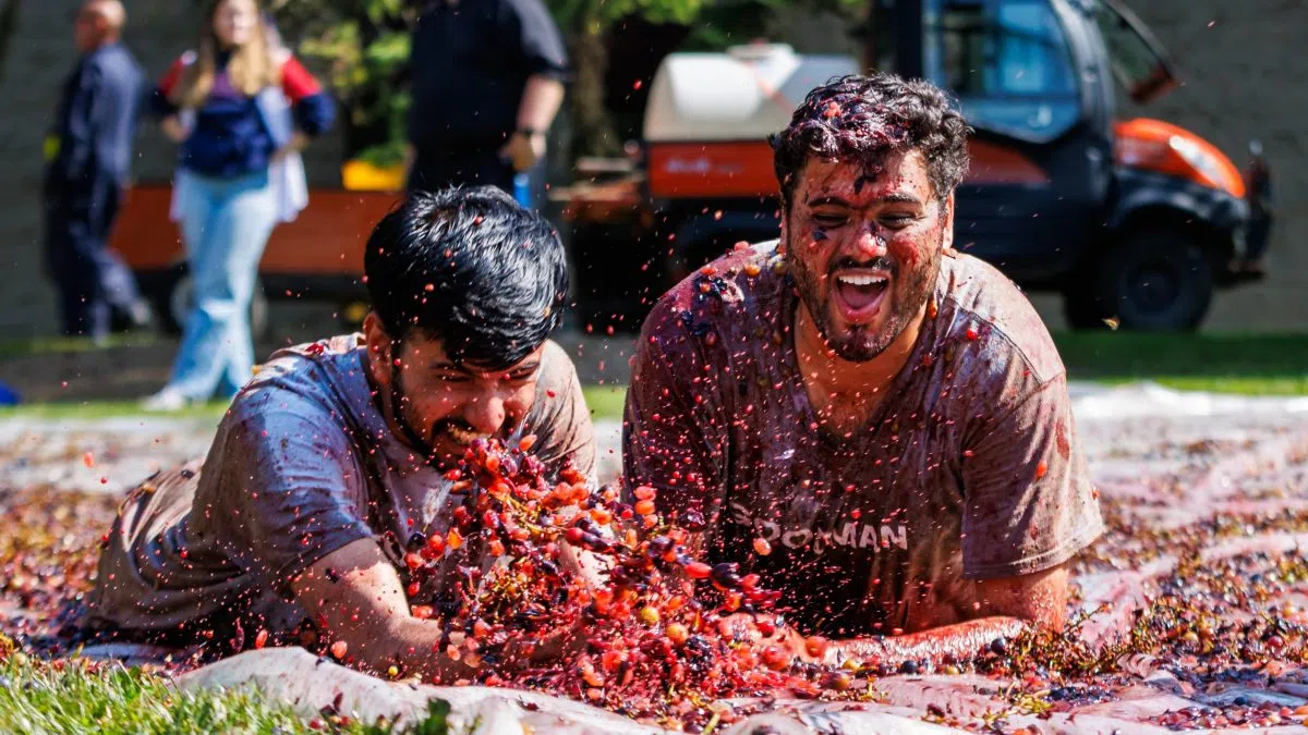 Annual Brock University Homecoming Grape Stomp returning tomorrow | GiantFM