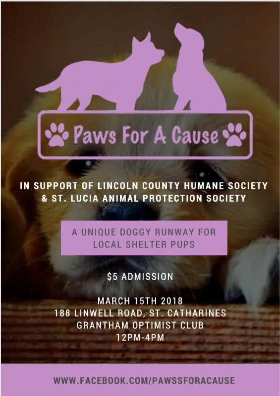 Paws for A Cause | COUNTRY 89