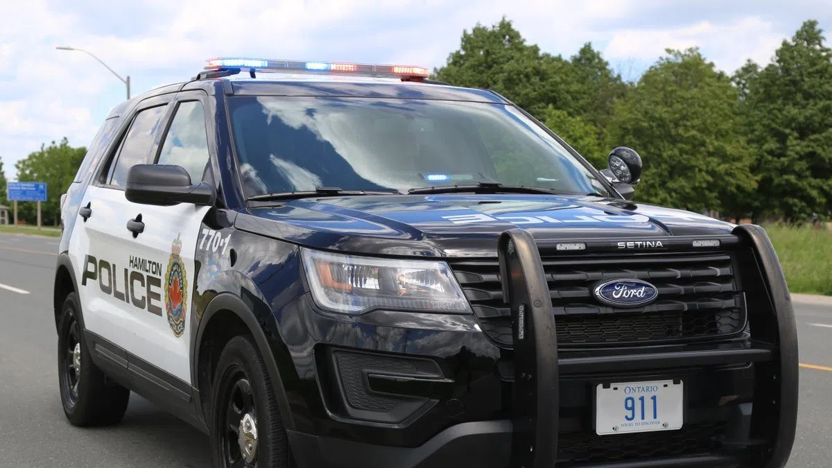 Hamilton Police charge man after incident at Winona Peach Festival ...